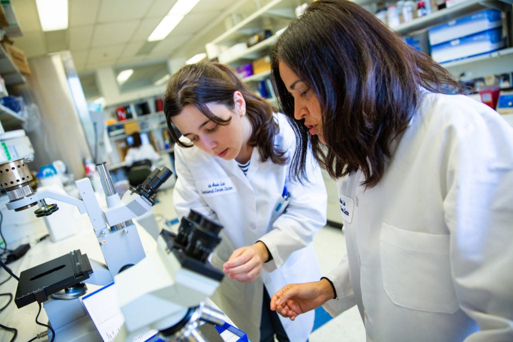 Curriculum | Interdisciplinary Program in Neuroscience | Georgetown ...