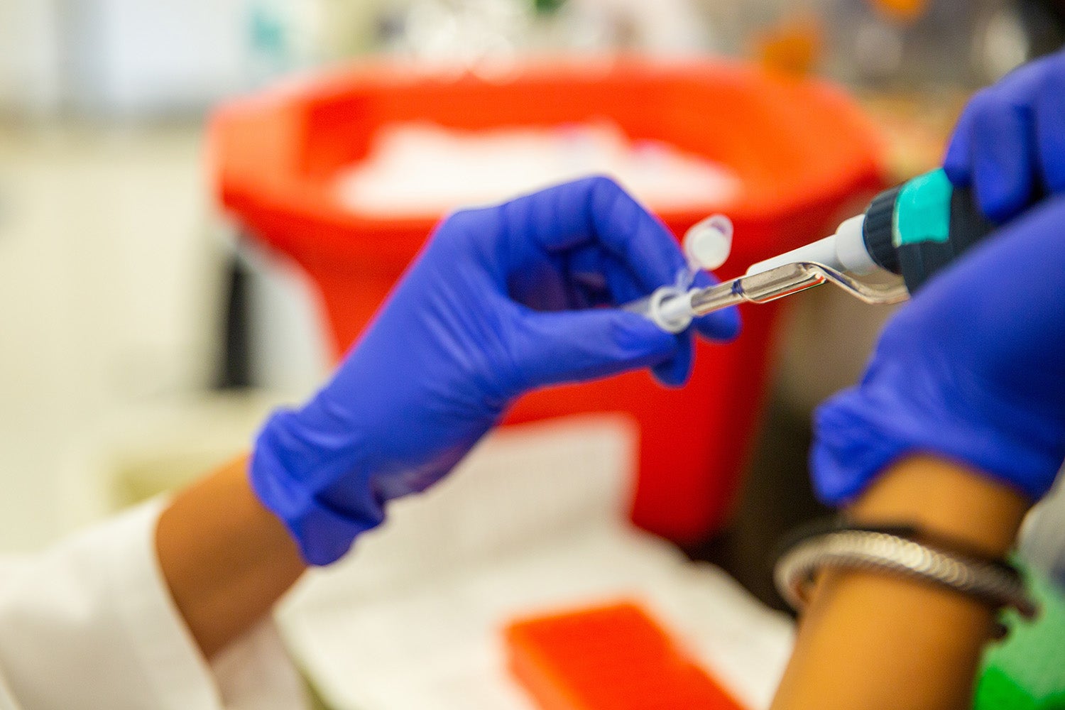 Give to the IPN | Interdisciplinary Program in Neuroscience ...