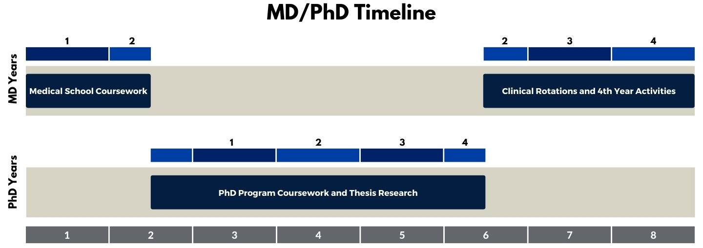 M.D./Ph.D. Program | Interdisciplinary Program in Neuroscience | Georgetown University